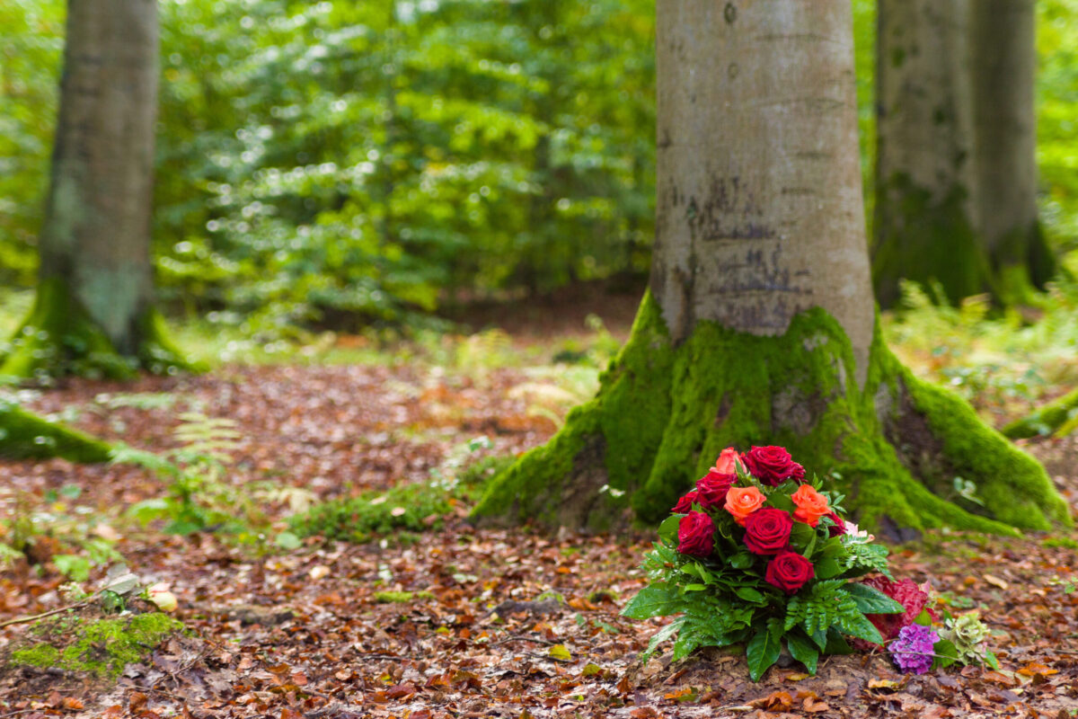 Graveside Services: A Simple and Meaningful Goodbye - Allan Pearse Funerals